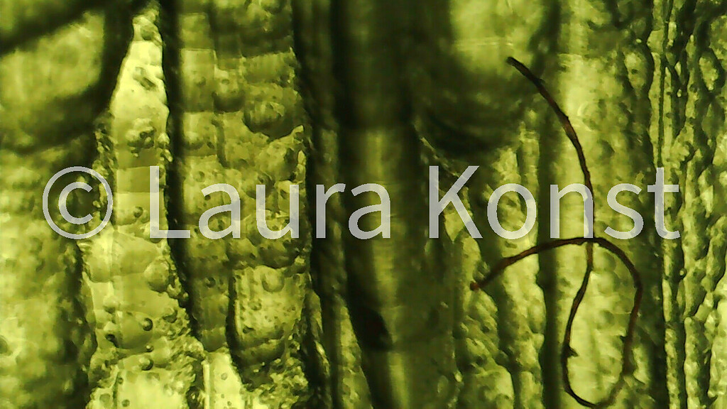 What is this inclusion? - Gem Related Discussion - IGS Forums