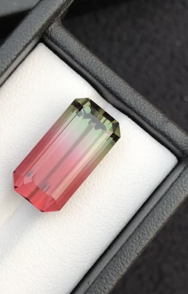 Watermelon tourmaline - Gem Related Discussion - IGS Forums