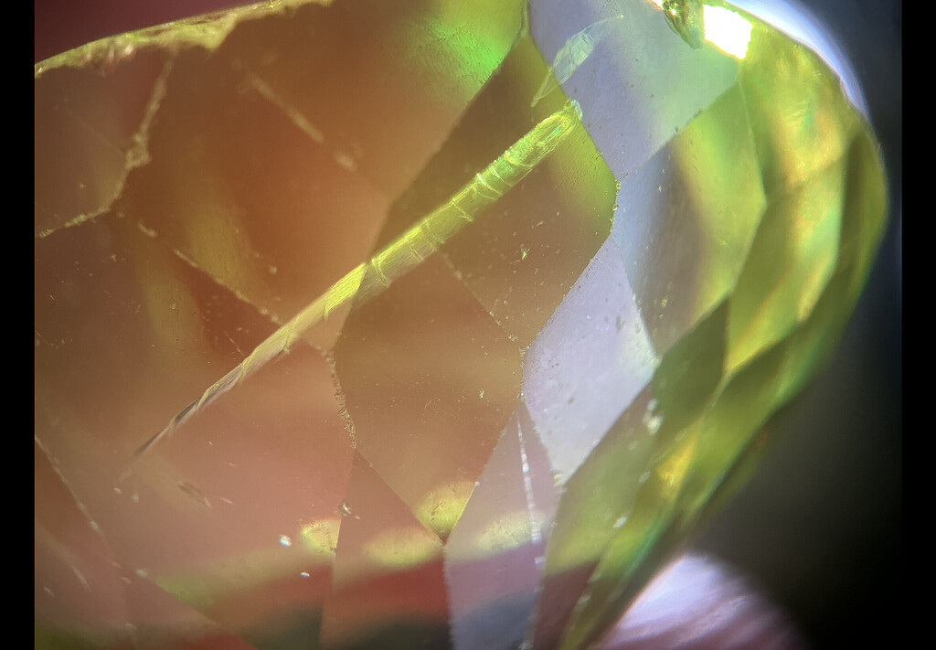 Inclusion in an unknown gemstone - Gem Related Discussion - IGS Forums